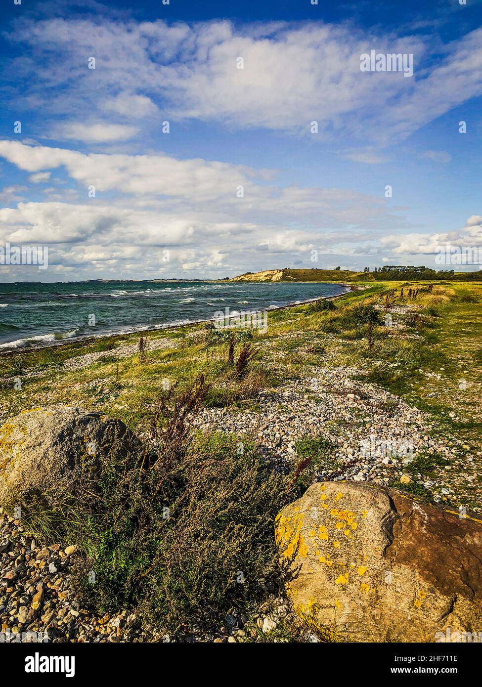 Steep coast, sea, beach, Helnaes, Fyn, Funen, landscape, West Funen ...