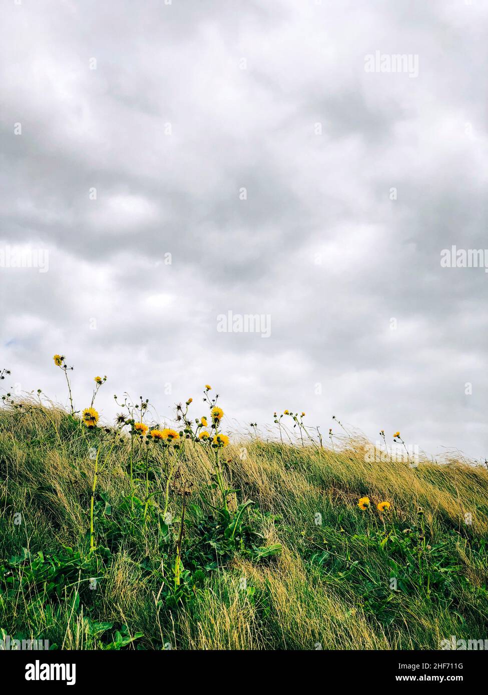 Danes dyke hi-res stock photography and images - Alamy