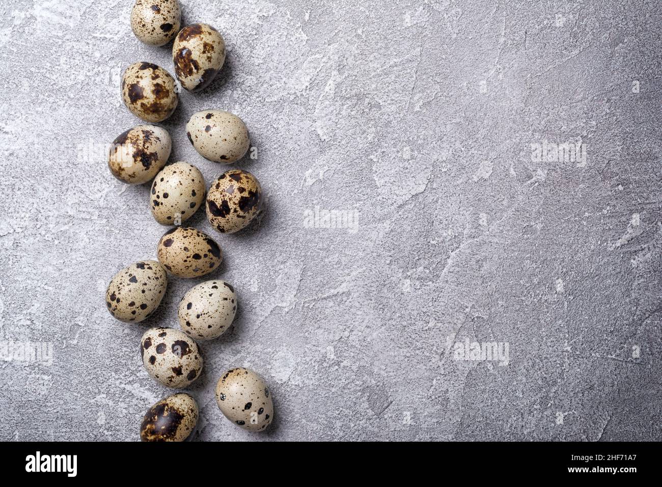 Top view of small quail eggs on grey concrete background with copy ...
