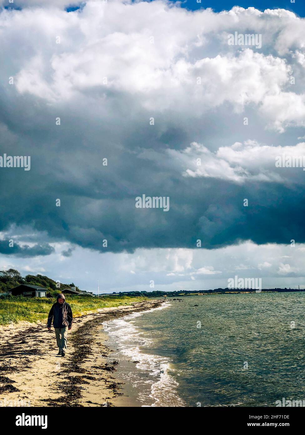 Man, beach, expanse, walk, Fyn, Funen, landscape, West Funen, Denmark ...