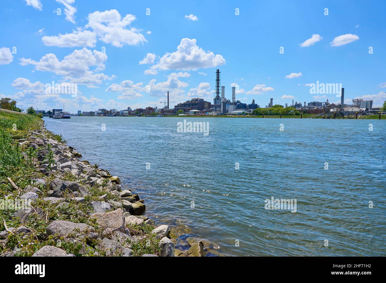 River Rhine, BASF, chemical plant, summer, Ludwigshafen am Rhein ...