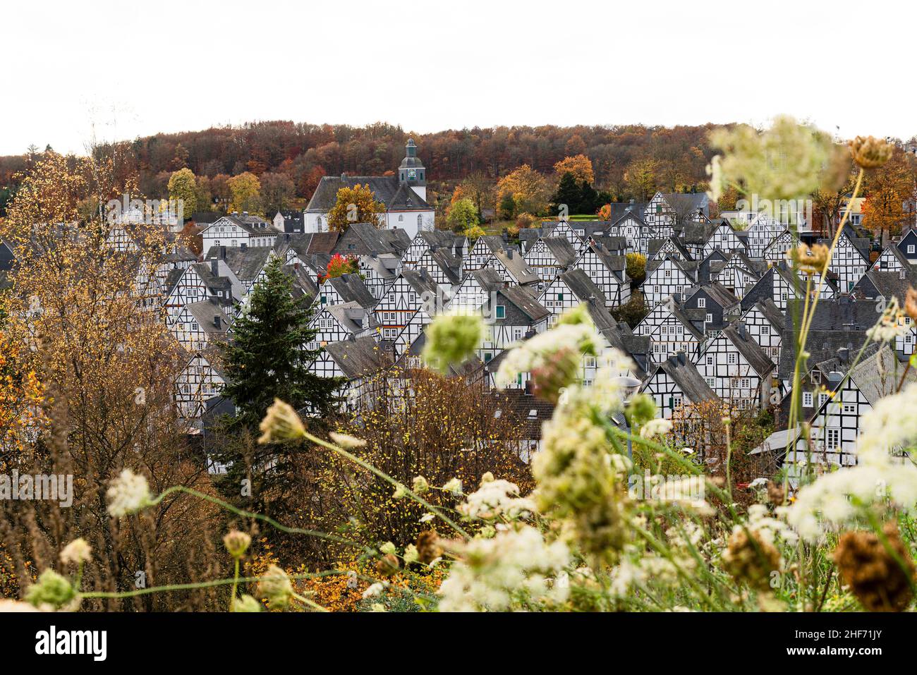 View of the historic town of Freudenberg with flowers in the foreground ...