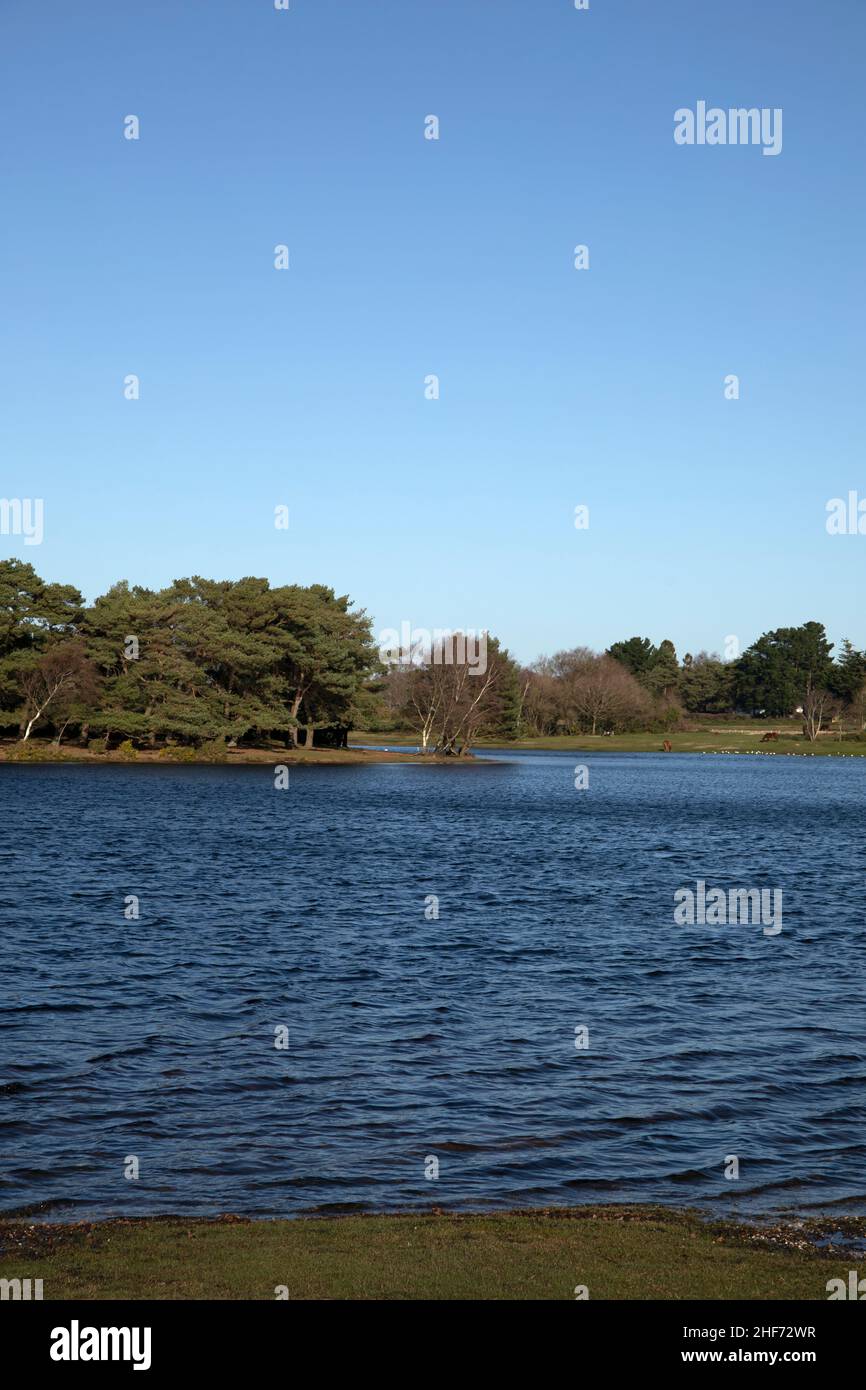 Hatchet Pond Landscape, New Forest Stock Photo - Alamy