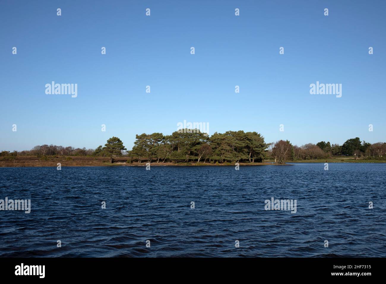 Hatchet Pond Landscape, New Forest Stock Photo - Alamy