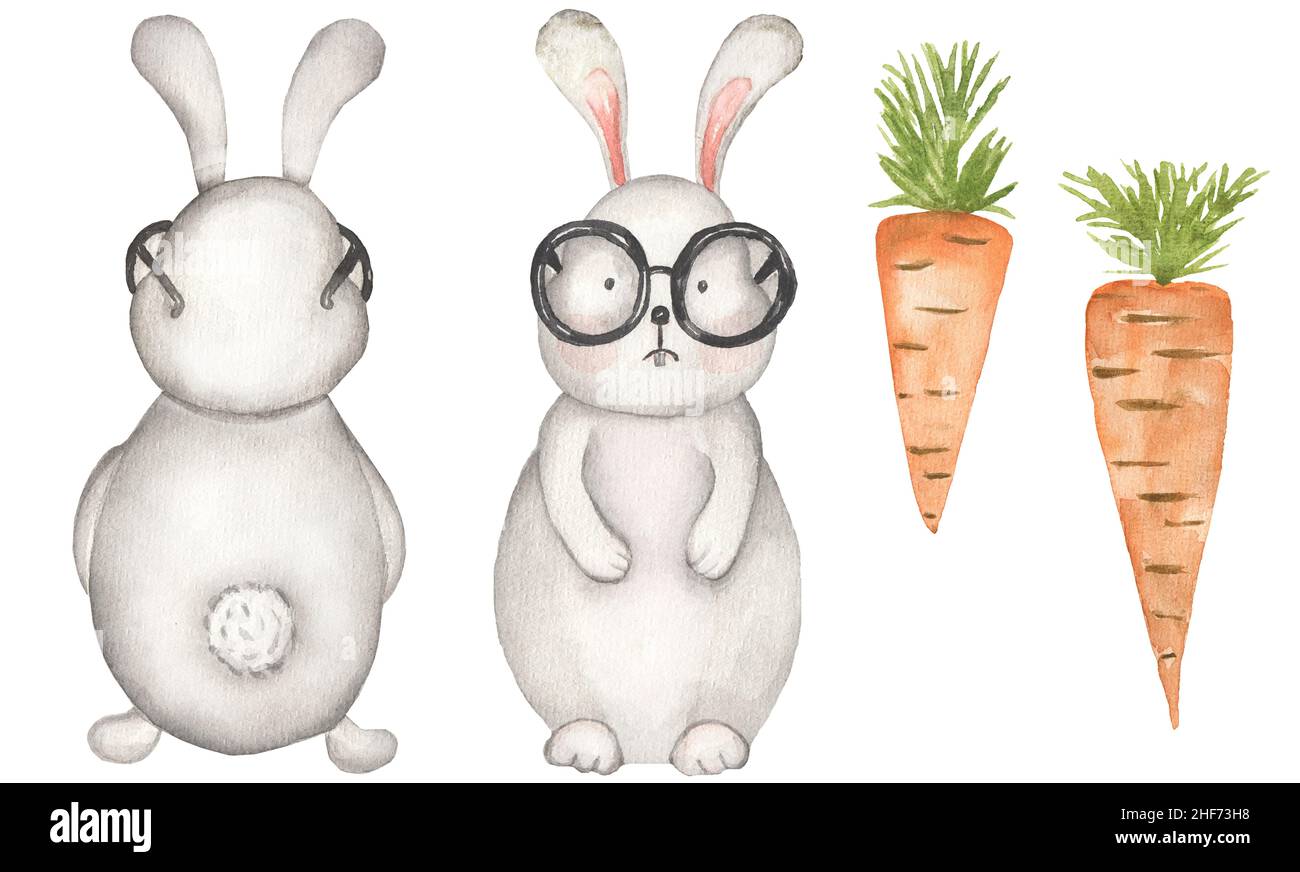 Bunny and carrots Clipart, Watercolor hand drawn Cute Forest rabbit ...