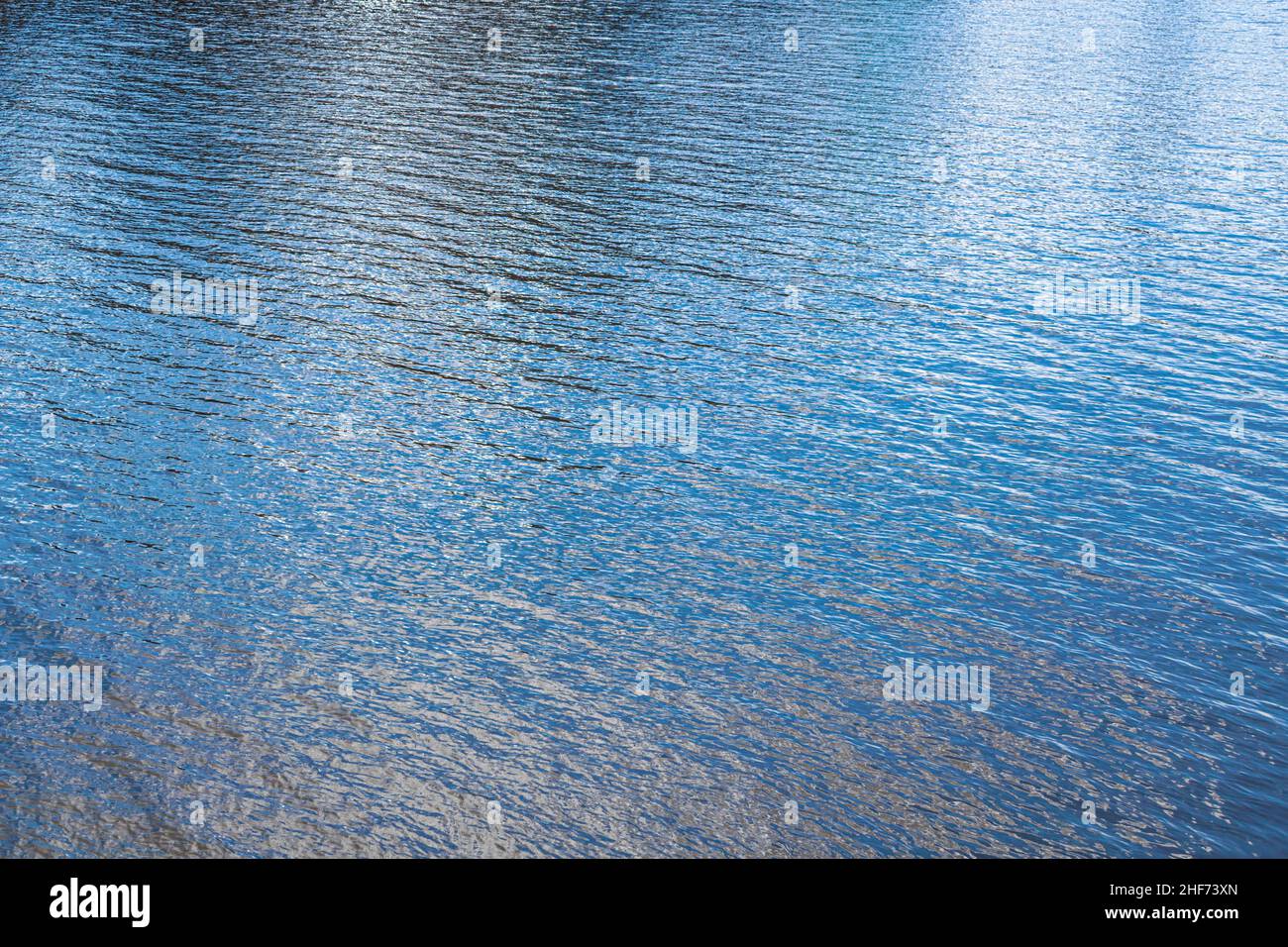 Muddy And The Surface Underwater