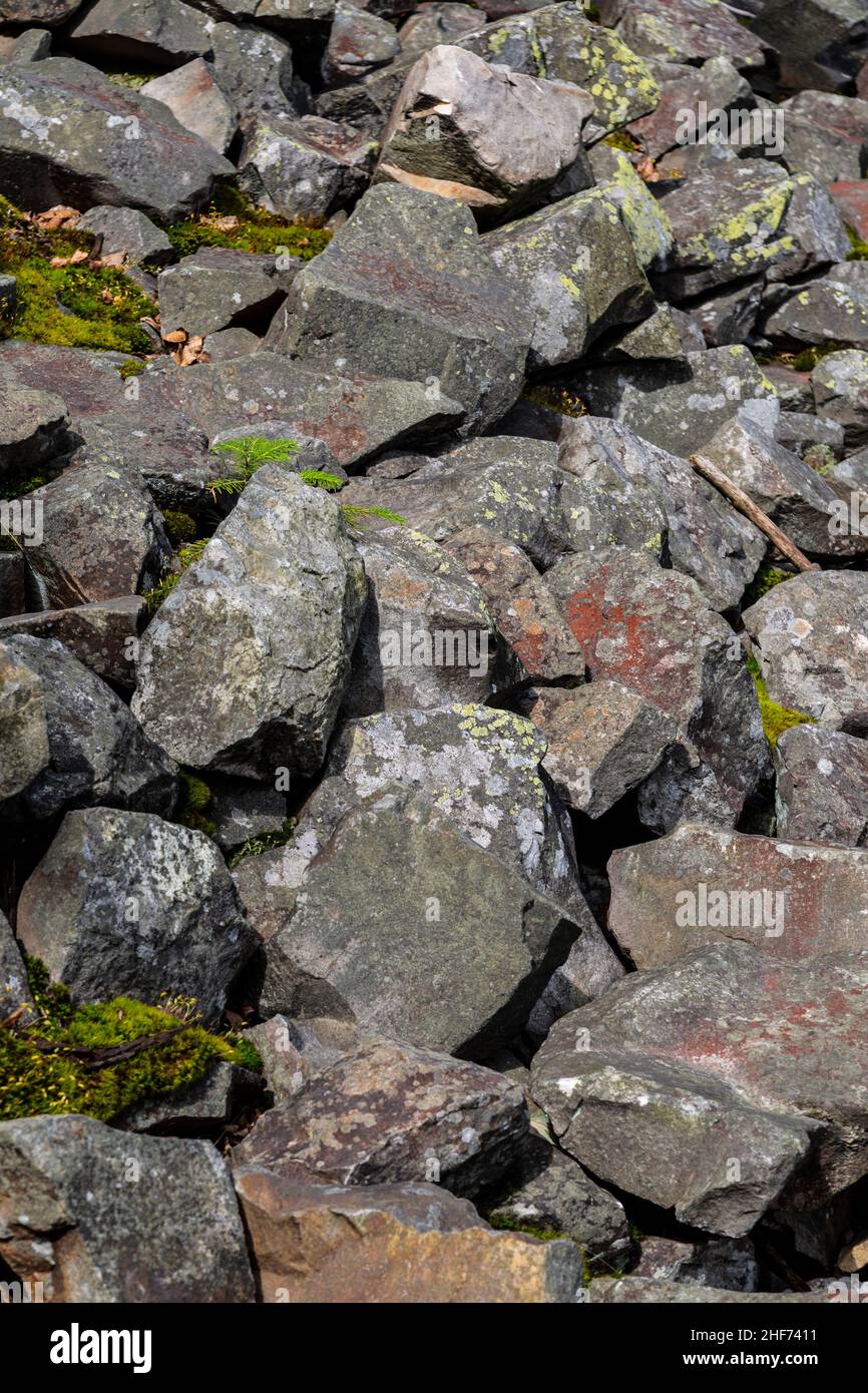 Europe, Poland, Swietokrzyskie, Swiety Krzyz - Stone run Stock Photo ...