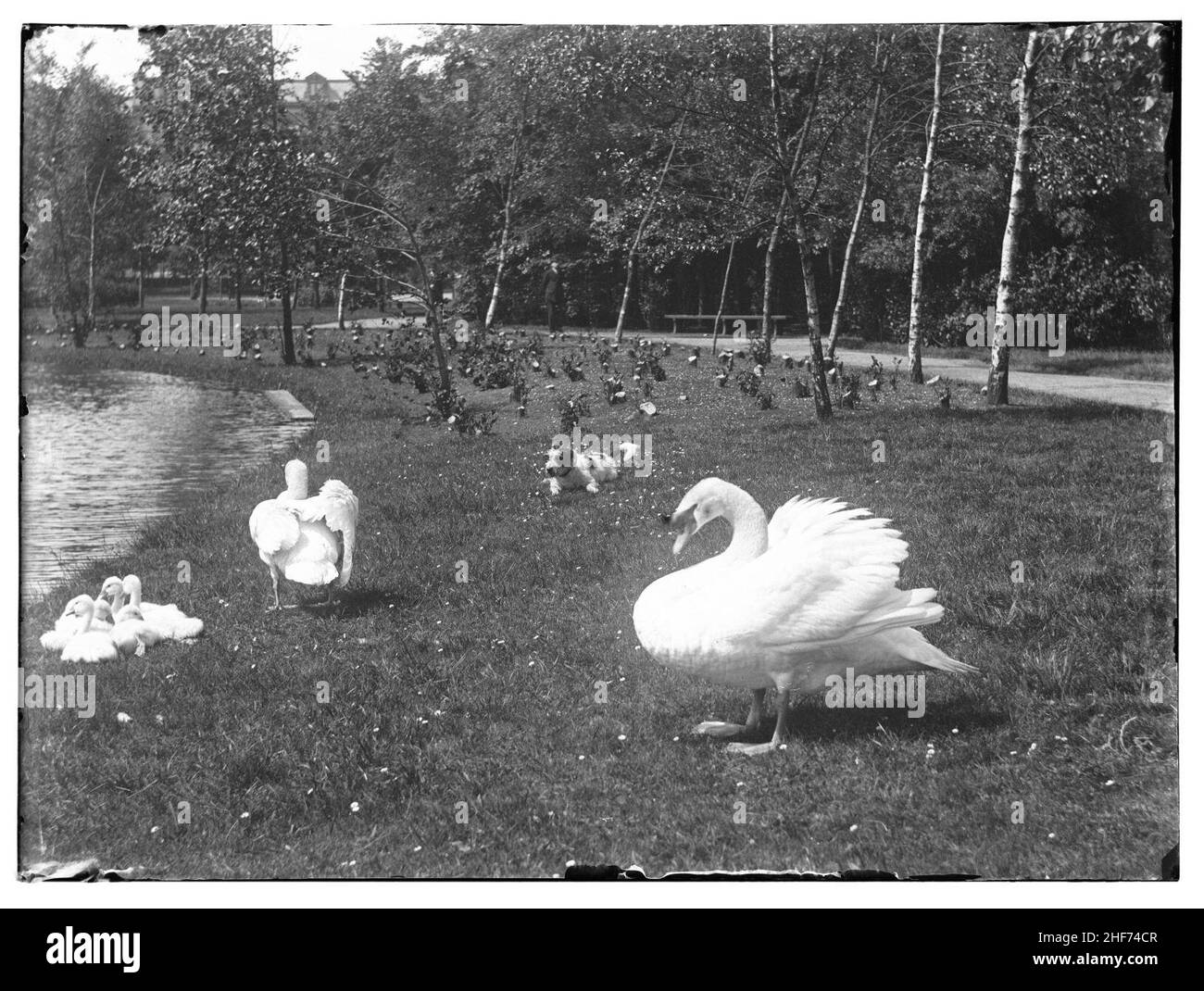 Sarphatipark, foto 6 Jacob Olie (max res Stock Photo - Alamy
