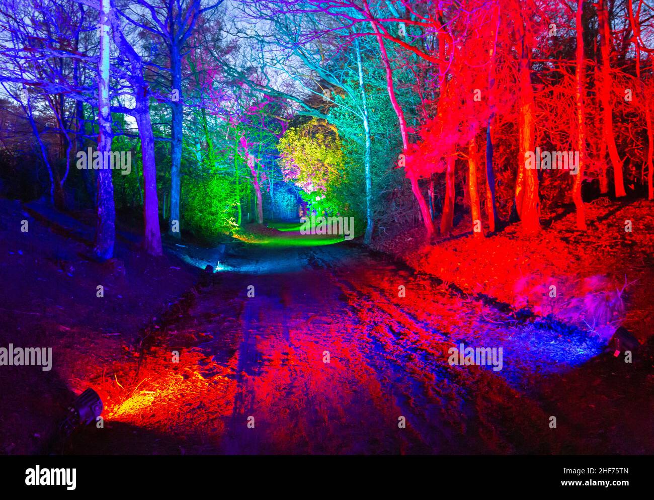 Wareham, Dorset, UK. 14th January, 2022. Blue Pool Nature Reserve is ...