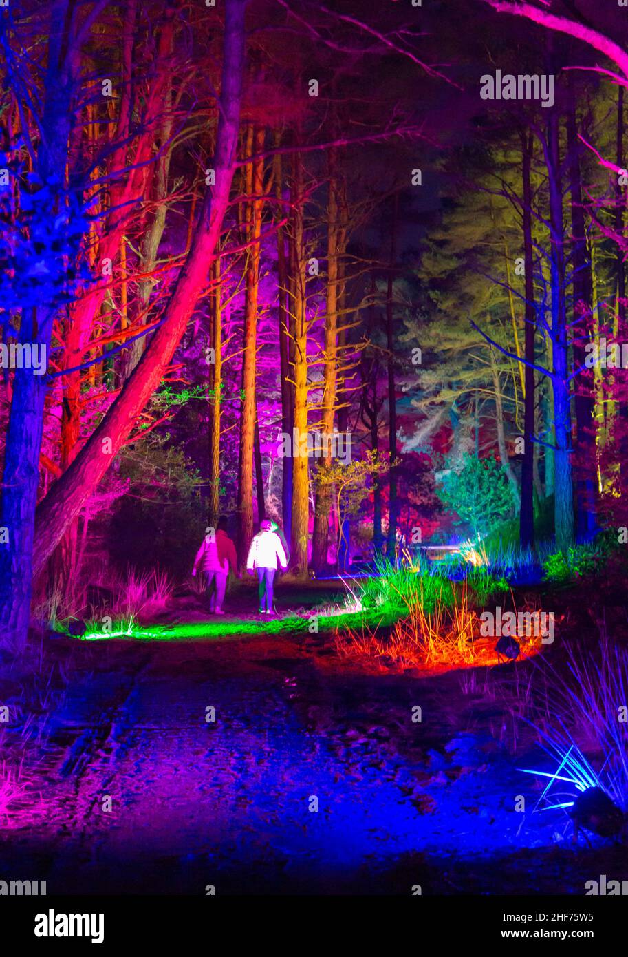 Wareham, Dorset, UK. 14th January, 2022. Blue Pool Nature Reserve is ...