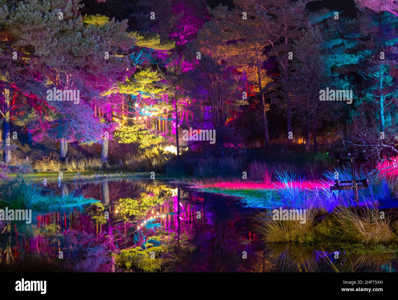 Wareham, Dorset, UK. 14th January, 2022. Blue Pool Nature Reserve is ...