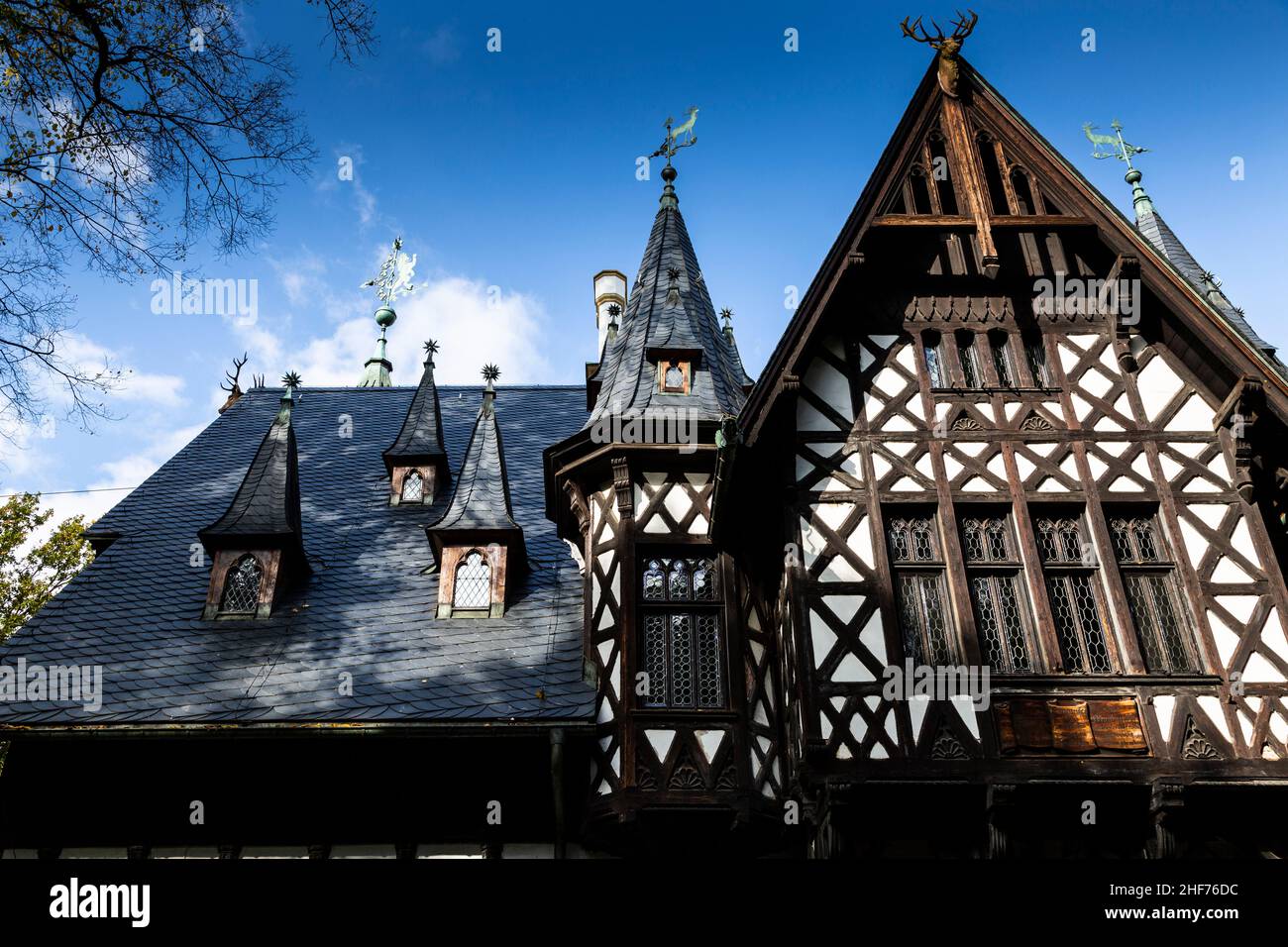 Jagdschloss promnitz hi-res stock photography and images - Alamy