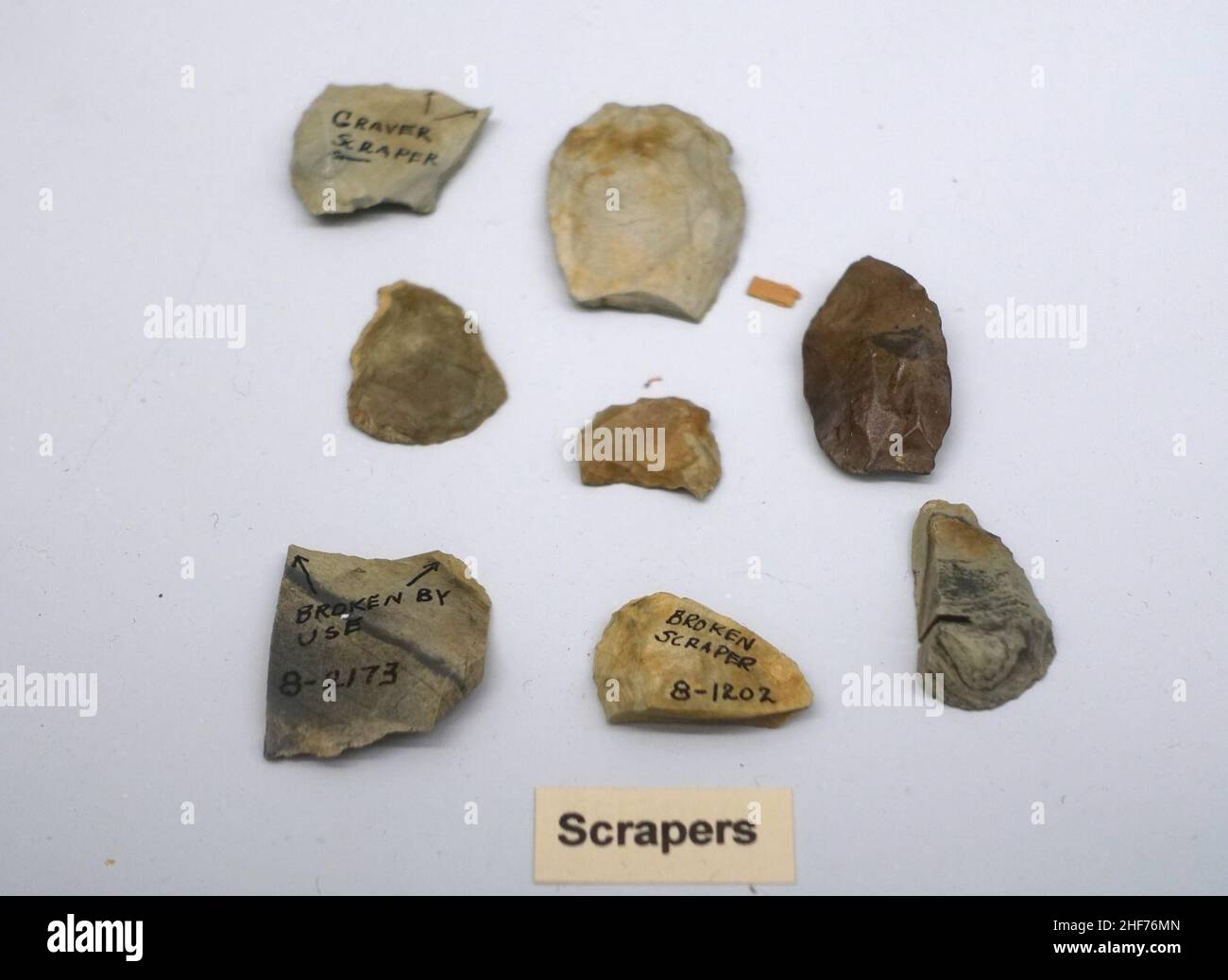 Indian collection hi-res stock photography and images - Alamy