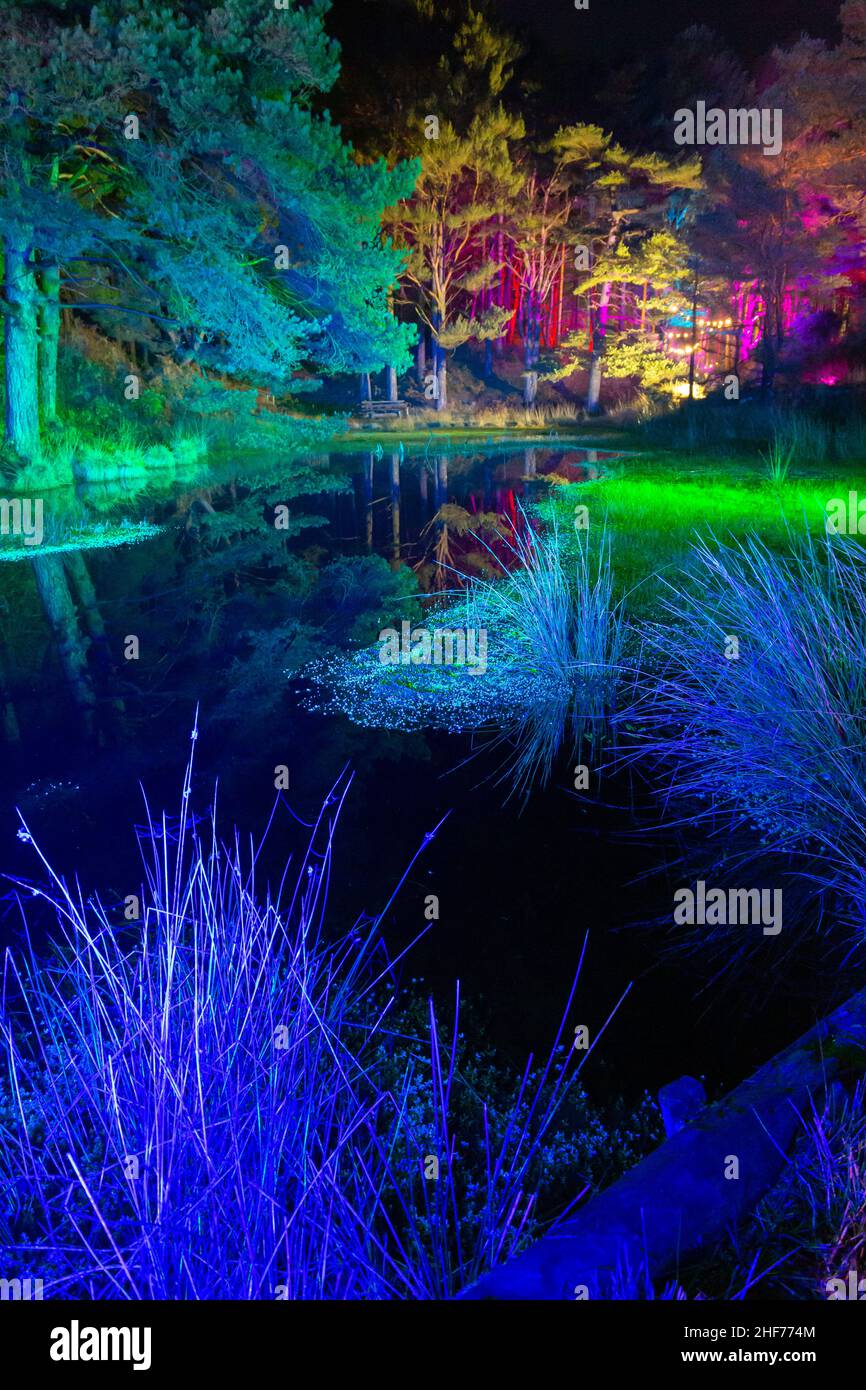 Wareham, Dorset, UK. 14th January, 2022. Blue Pool Nature Reserve is ...