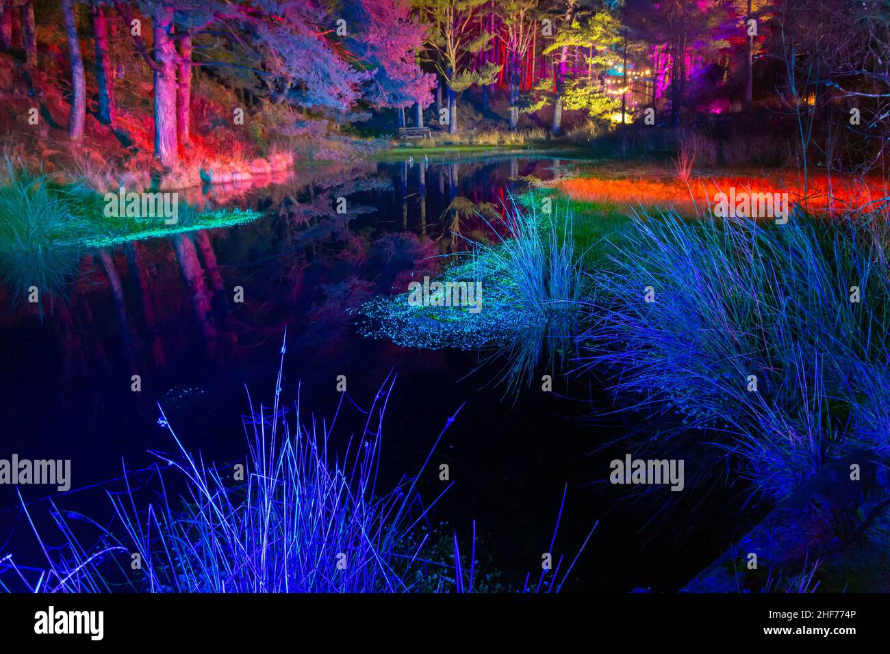 Wareham, Dorset, UK. 14th January, 2022. Blue Pool Nature Reserve is ...