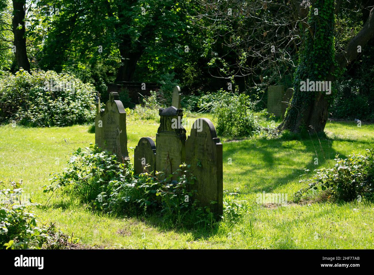 Beautiful graveyard filled with the tombstones (view from the back) of the resting souls of the ...