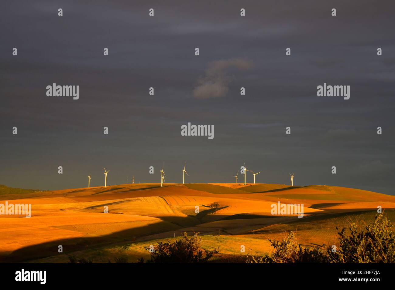 Caledon area hi-res stock photography and images - Alamy