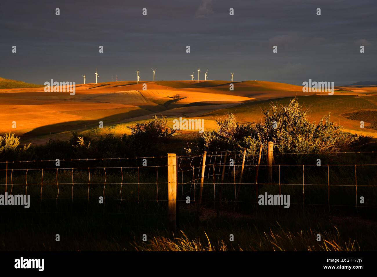 Caledon area hi-res stock photography and images - Alamy