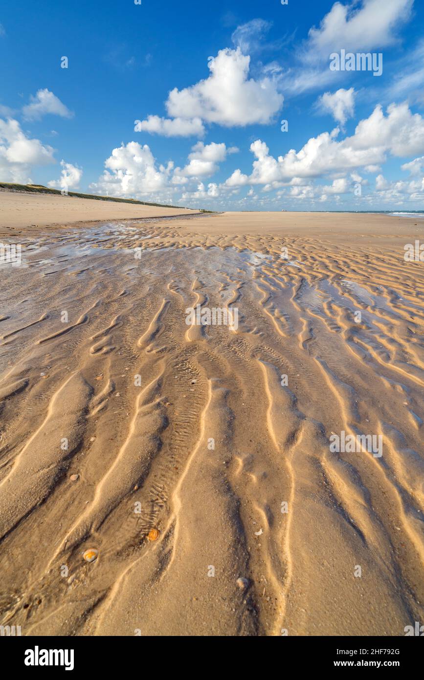 Ripple marks on the beach in front of Rantum, Sylt Island, Schleswig ...