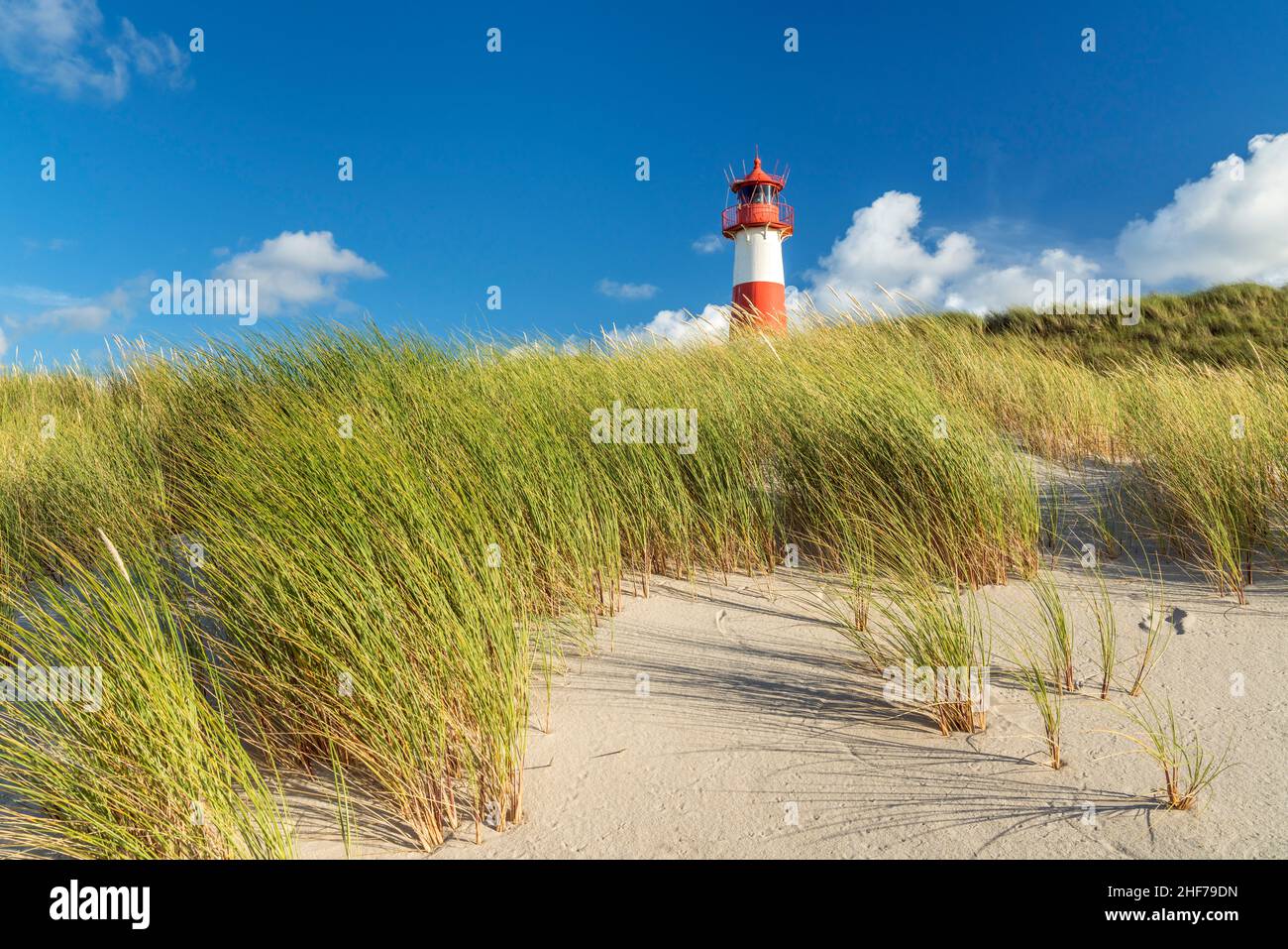 List Ost lighthouse at Ellenbogen, Sylt Island, Schleswig-Holstein ...
