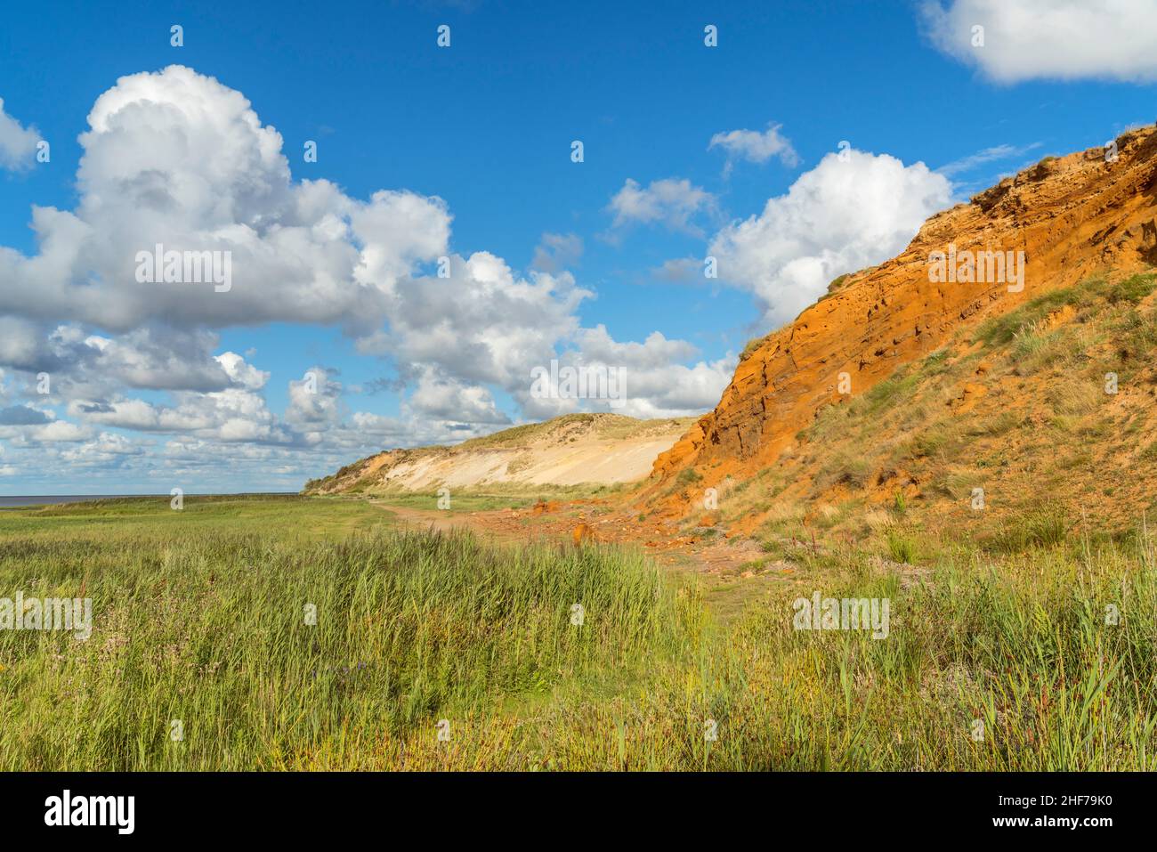 Nature reserve Morsum-Kliff, Morsum, Sylt Island, Schleswig-Holstein ...