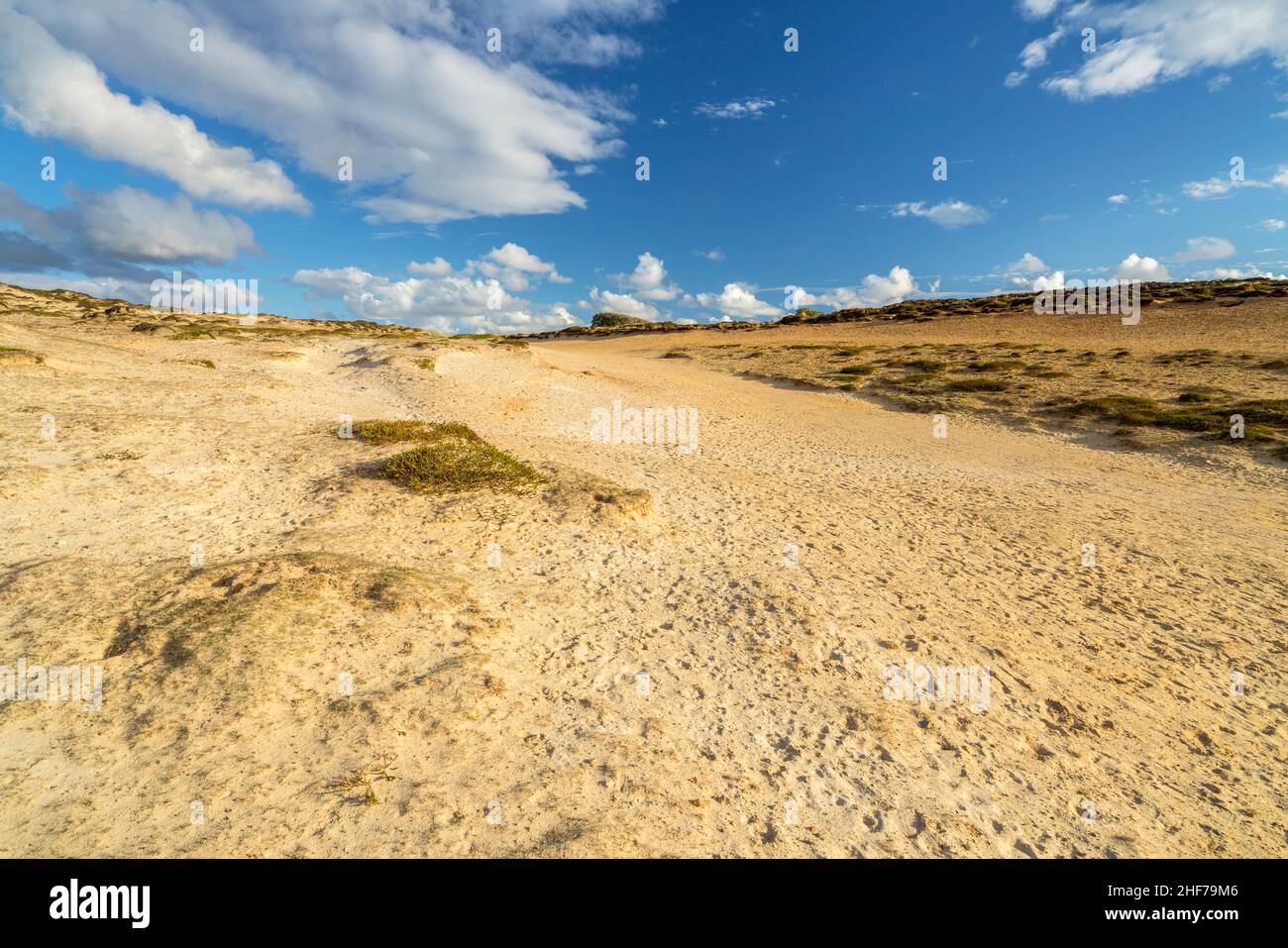 Dunes on the Morsum Kliff, Morsum, Sylt Island, Schleswig-Holstein ...