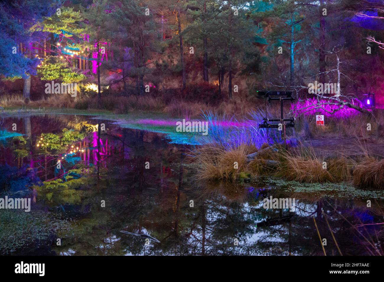 Wareham, Dorset, UK. 14th January, 2022. Blue Pool Nature Reserve is ...
