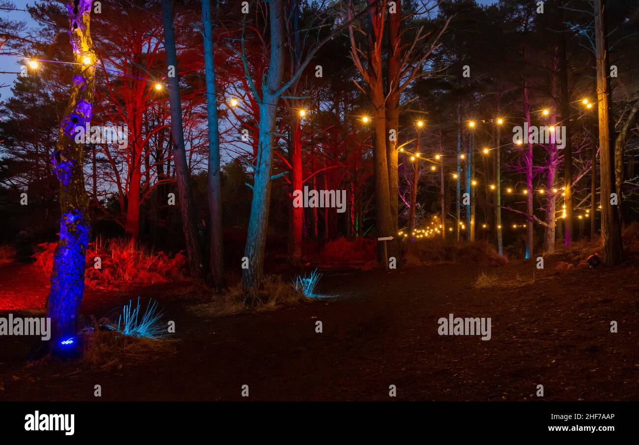 Wareham, Dorset, UK. 14th January, 2022. Blue Pool Nature Reserve is ...