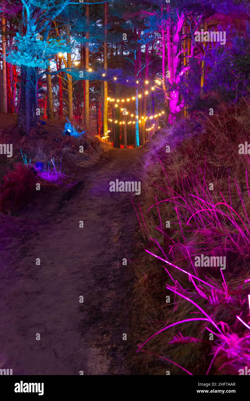 Wareham, Dorset, UK. 14th January, 2022. Blue Pool Nature Reserve is ...