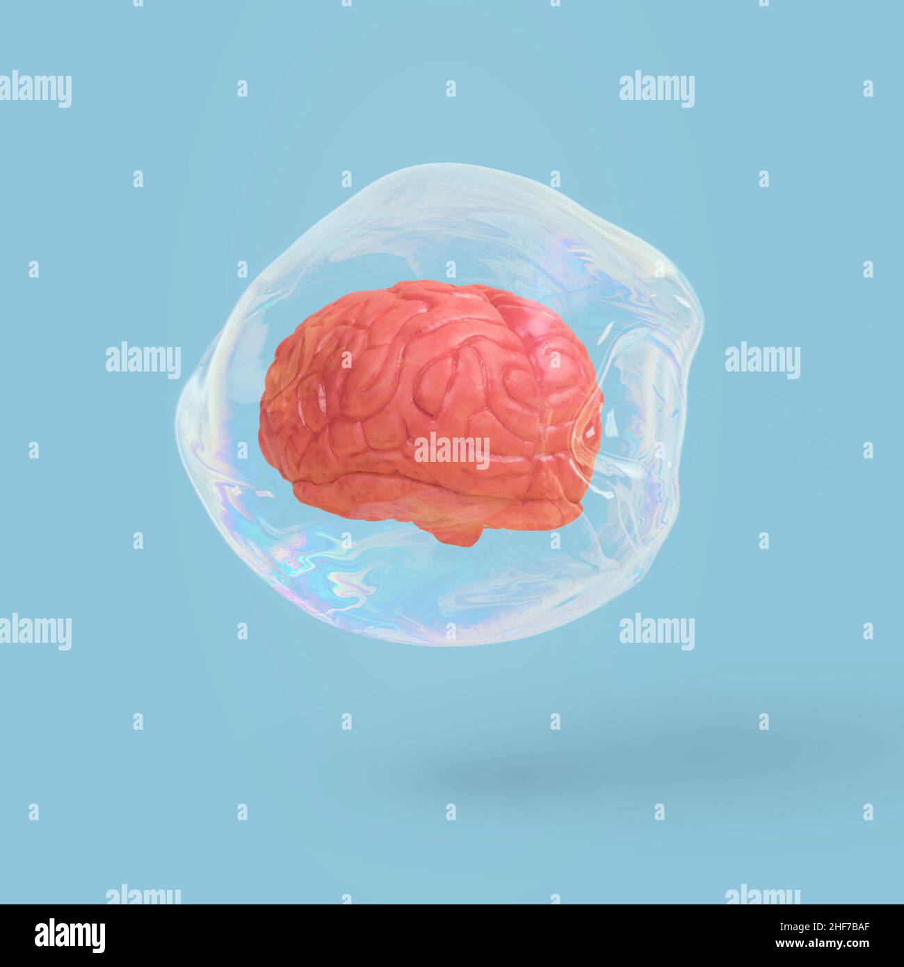 Creative minimal scene with a human brain isolated in a transparent ...