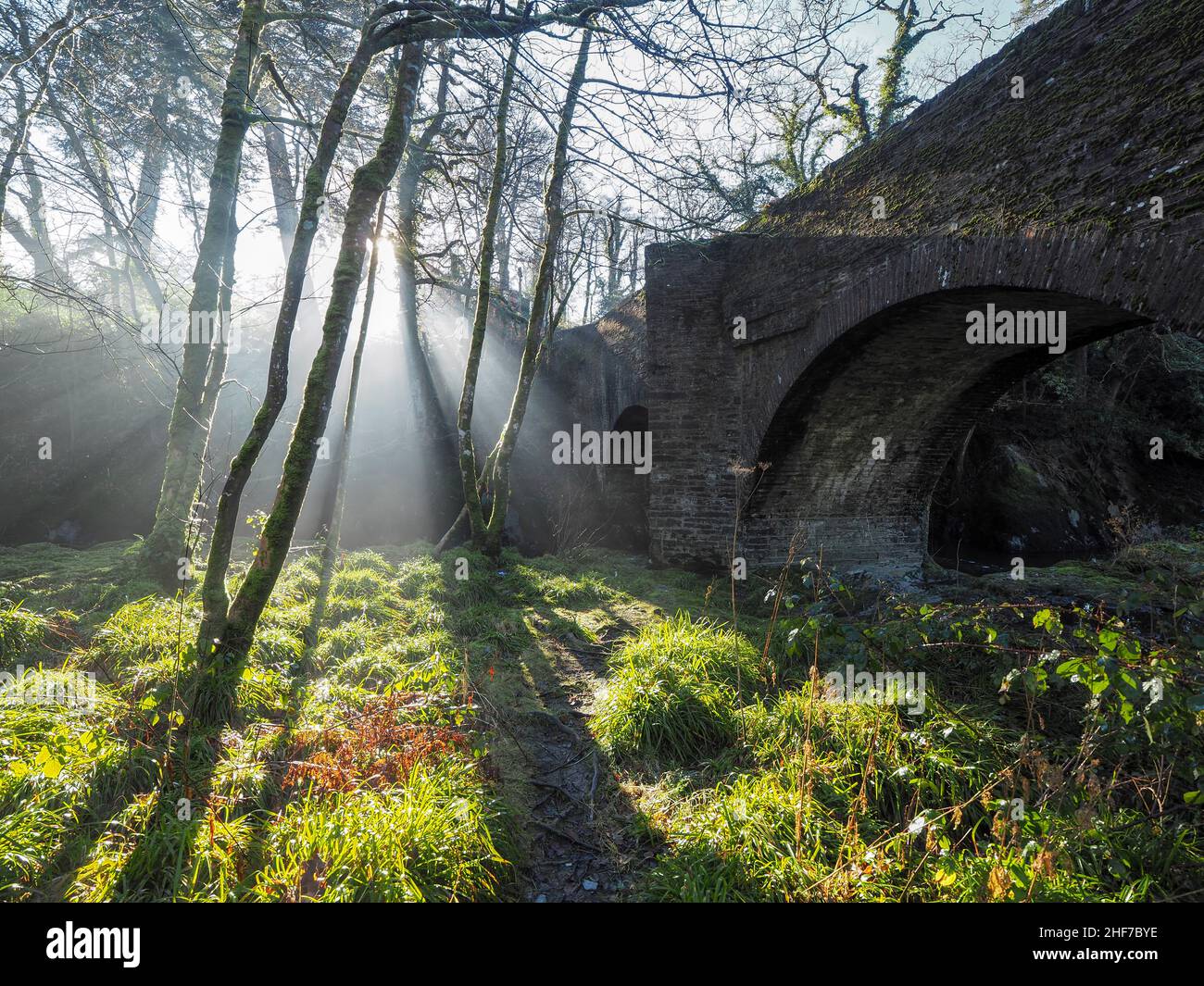 Shafts of sunlight, Henllan bridge, River Teifi, Wales Stock Photo - Alamy