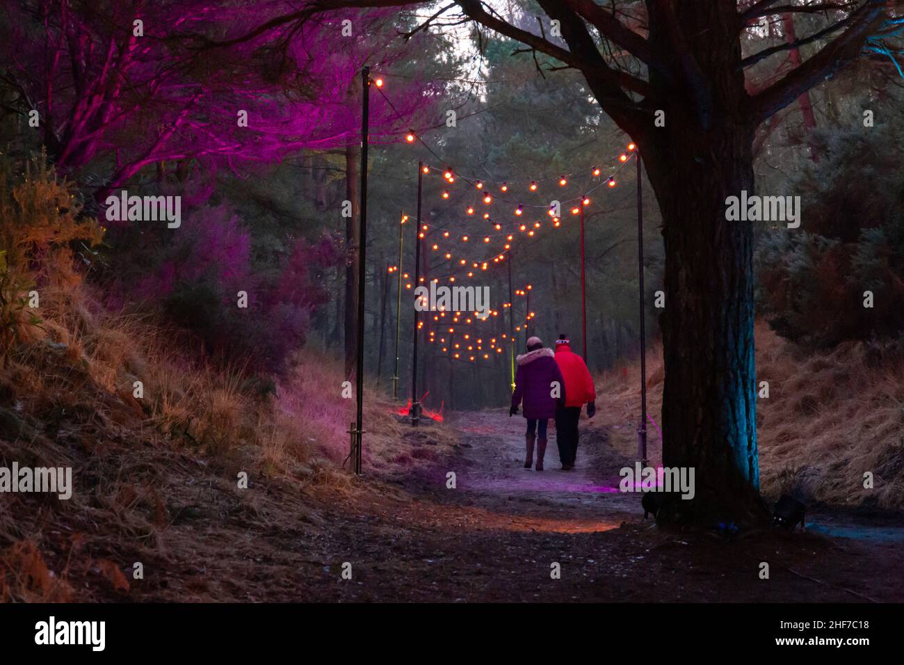 Wareham, Dorset, UK. 14th January, 2022. Blue Pool Nature Reserve is ...