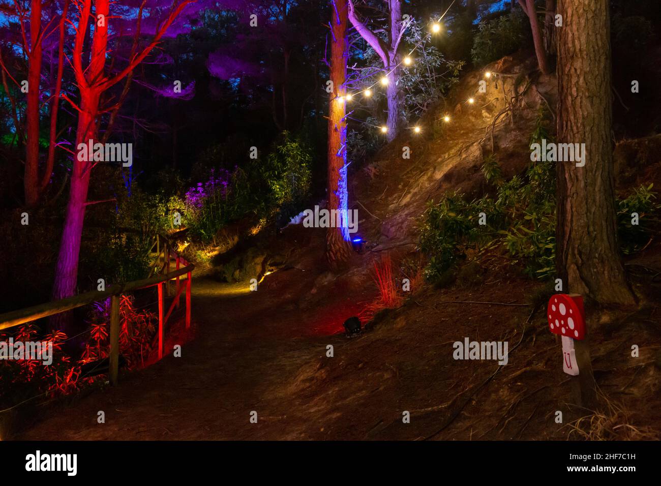 Wareham, Dorset, UK. 14th January, 2022. Blue Pool Nature Reserve is ...