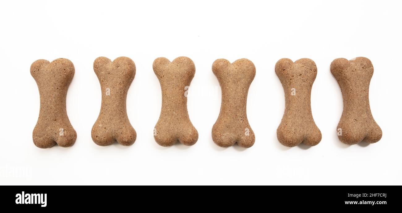 Dog food biscuit shape bone isolated on white background. Six blank ...