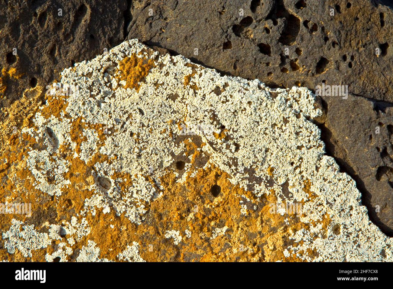 beautiful stone structure at the coast line Stock Photo - Alamy