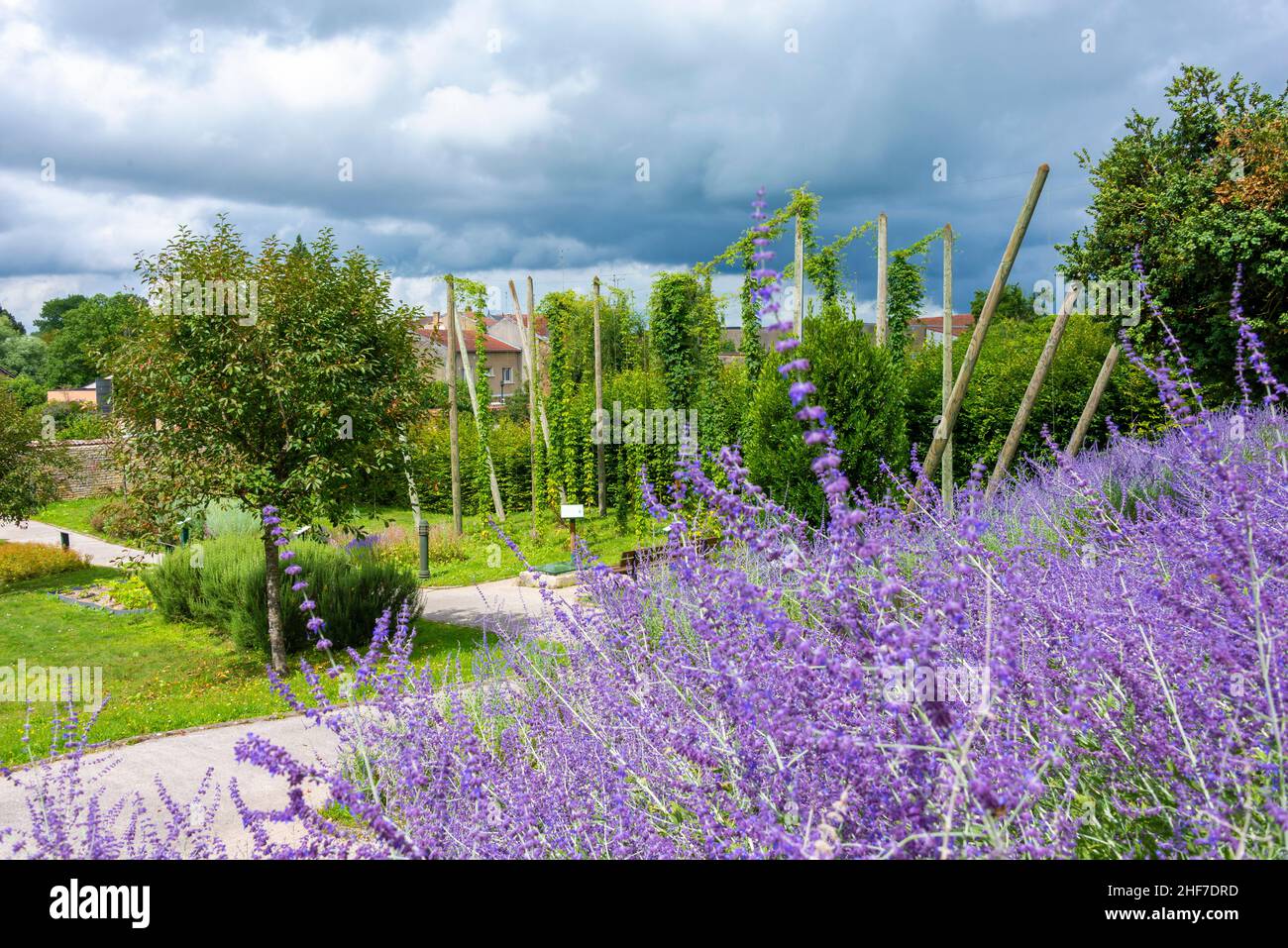 France, Lorraine, Pays de Stenay et du Val Dunois, Grand Est Region ...