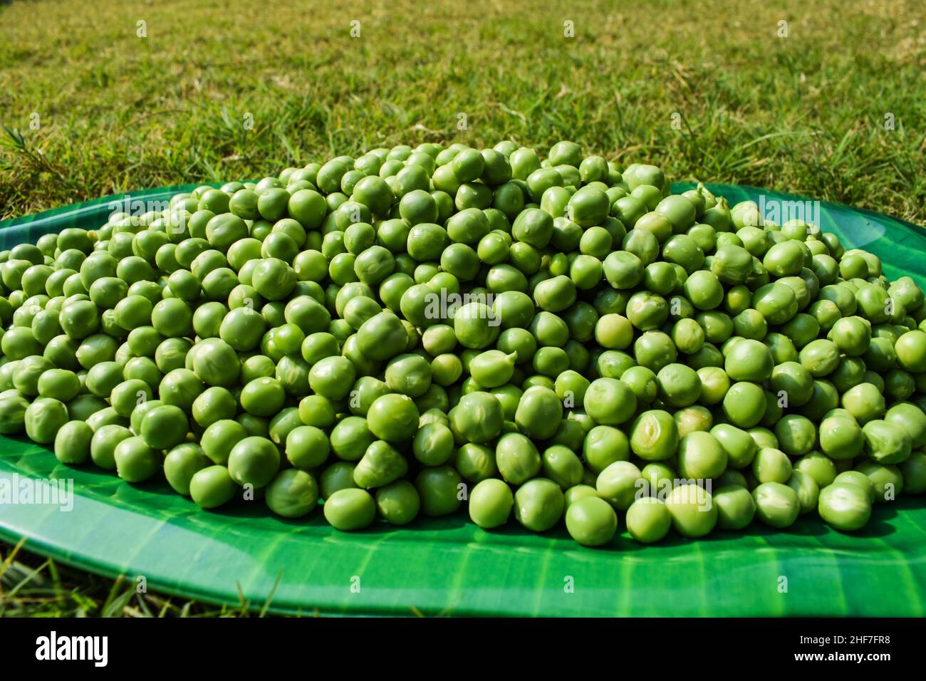 Red vatana hi-res stock photography and images - Alamy