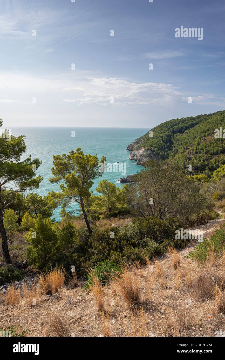 Coast on the Gargano peninsula in Puglia, Italy Stock Photo - Alamy
