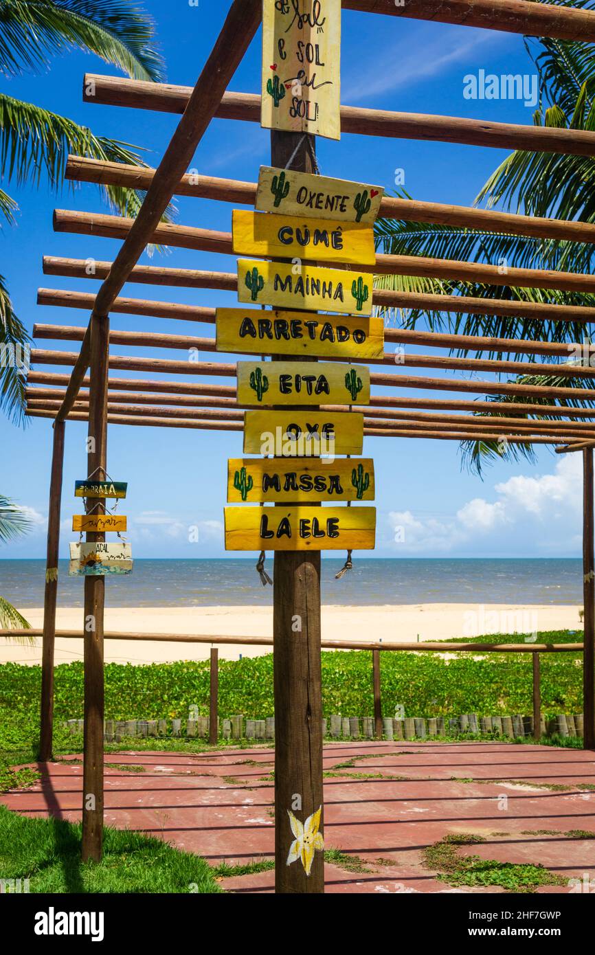 Beach Hand Painted Signs