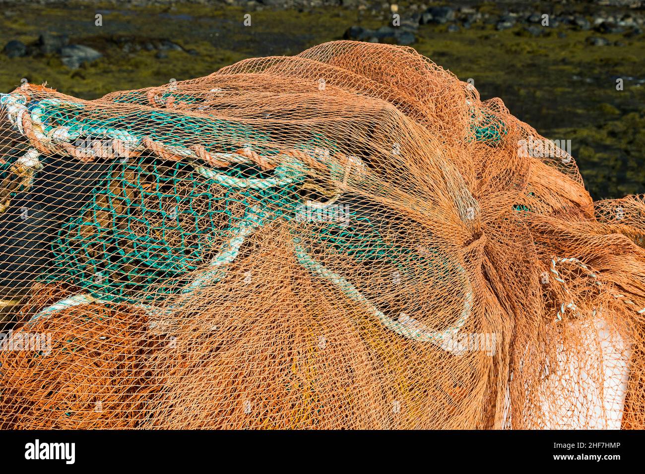Norway, Lofoten, fishing net Stock Photo - Alamy