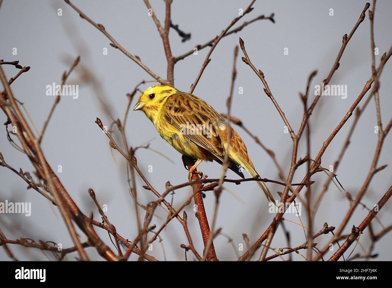 Irlam hi-res stock photography and images - Alamy
