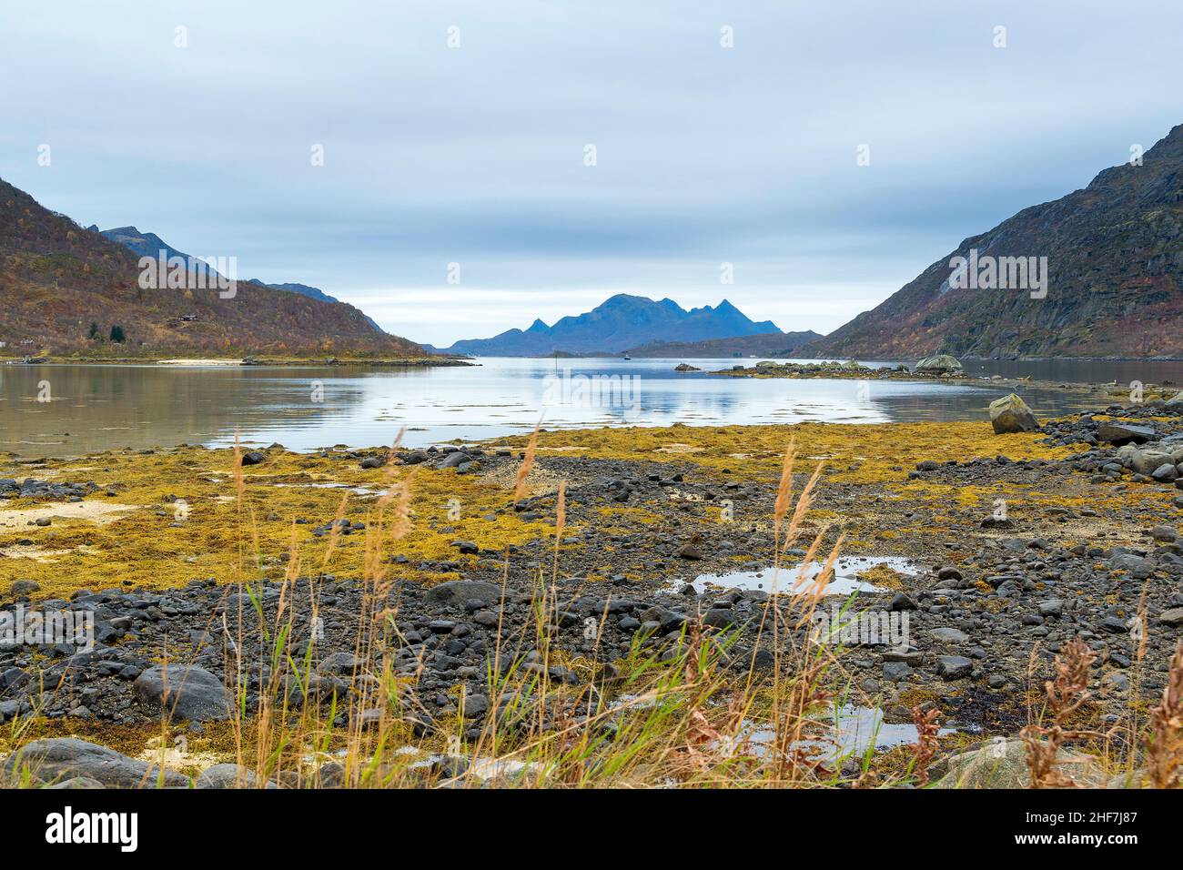 Norway, Lofoten, Raffsund, Höhe Trollfjord, shore at low tide Stock ...