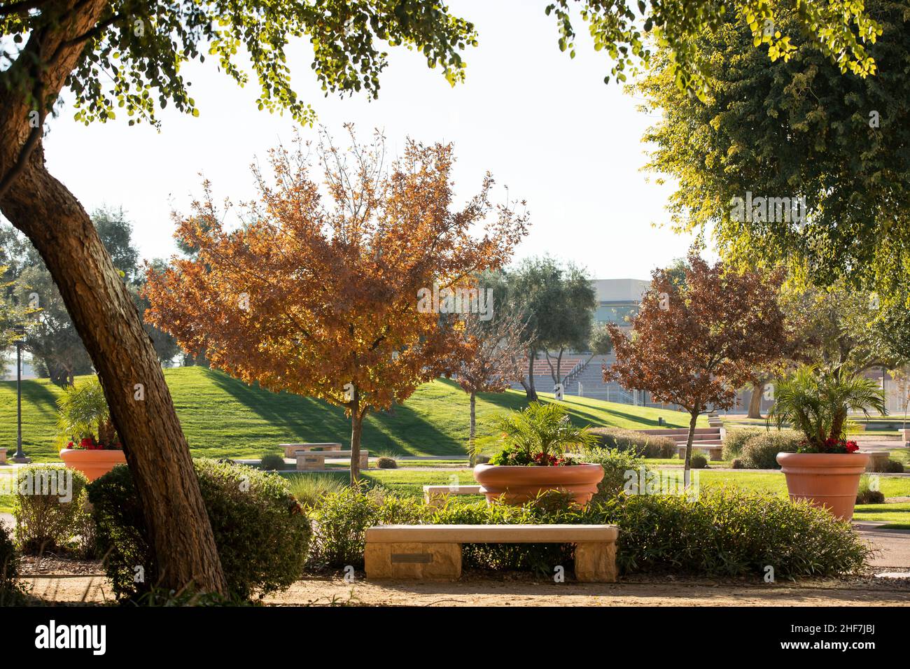 Surprise, Arizona, USA - January 4, 2022: Afternoon sunlight shines on ...