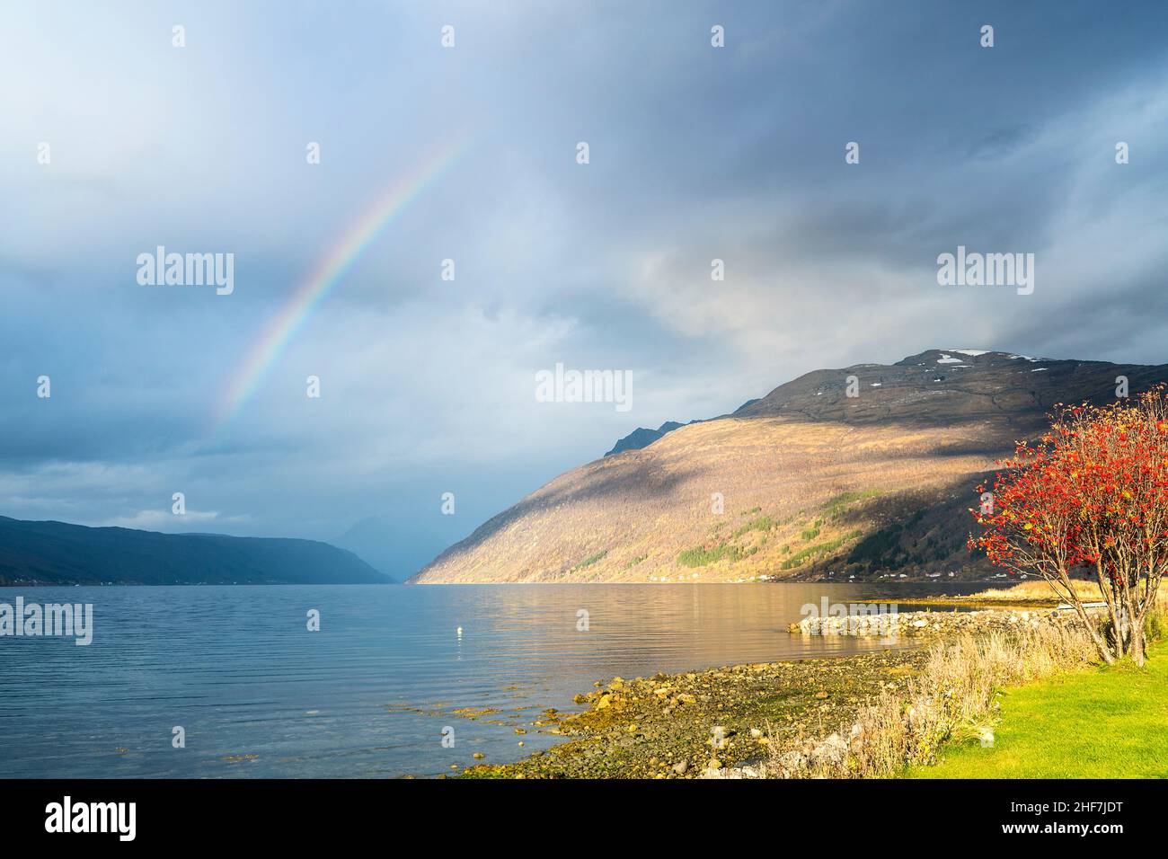 Norway, Lavangen Fjord, morning mood, rainbow Stock Photo - Alamy