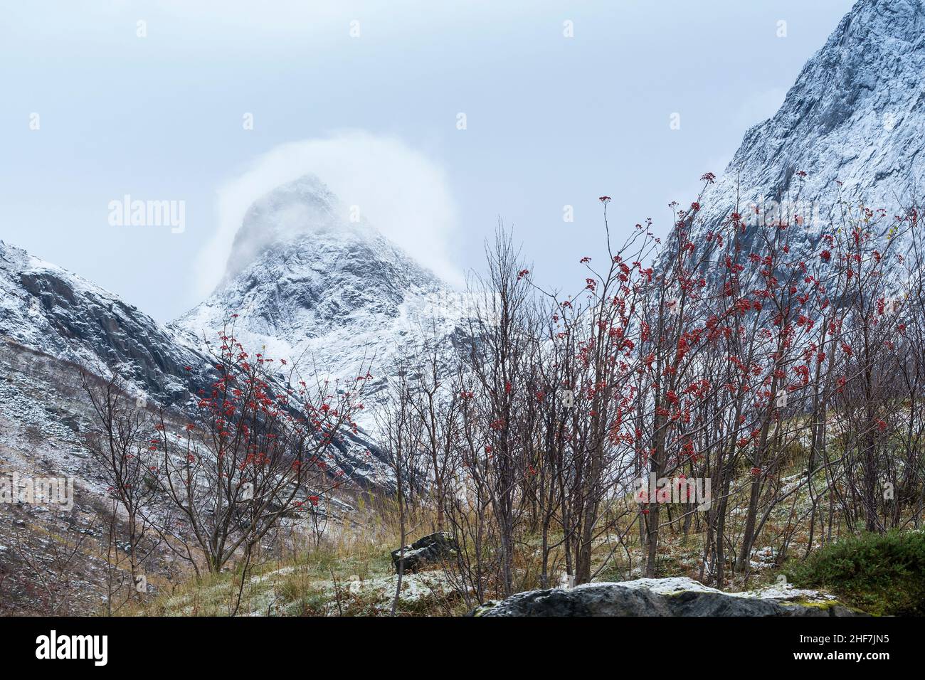 Norway, Senja, Bergsbotn, viewpoint, Skaland, rock with fog cap Stock ...