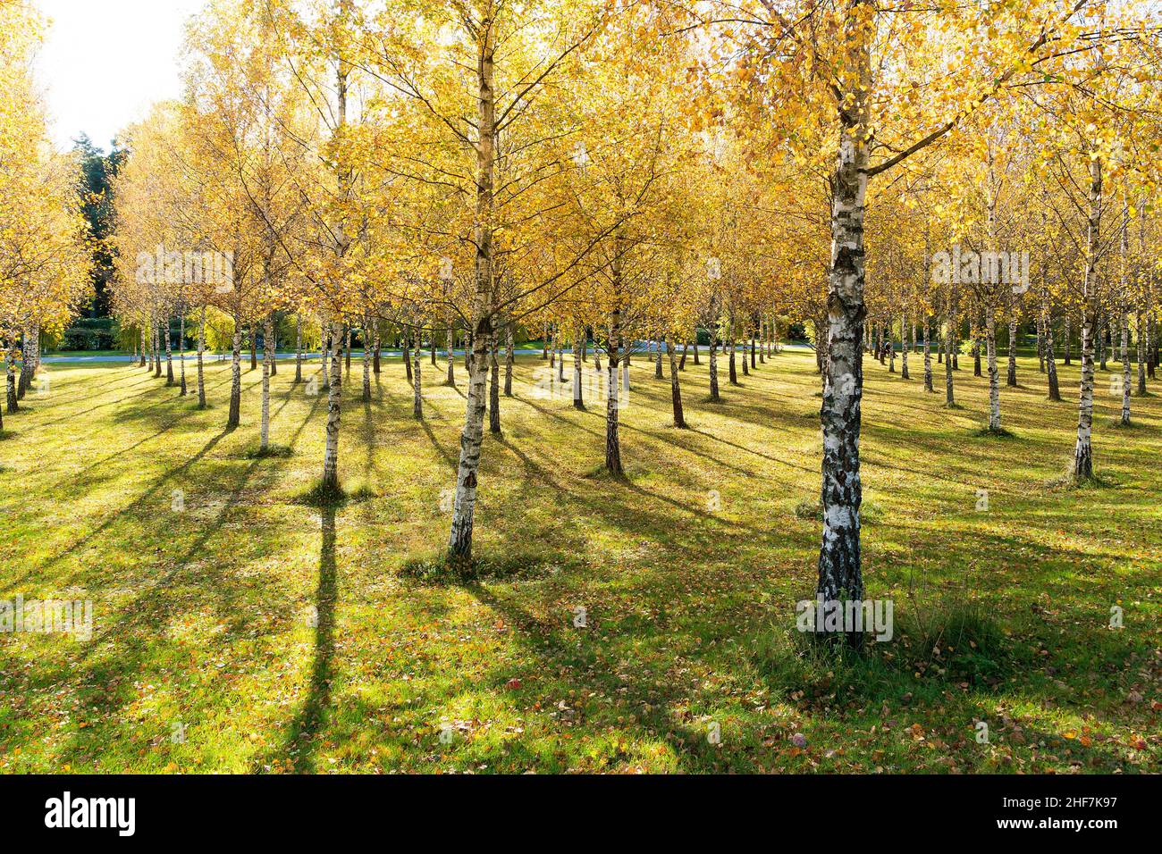 Sweden, Stockholm, Skogskyrkogården, Cemetery, Unesco World Heritage ...
