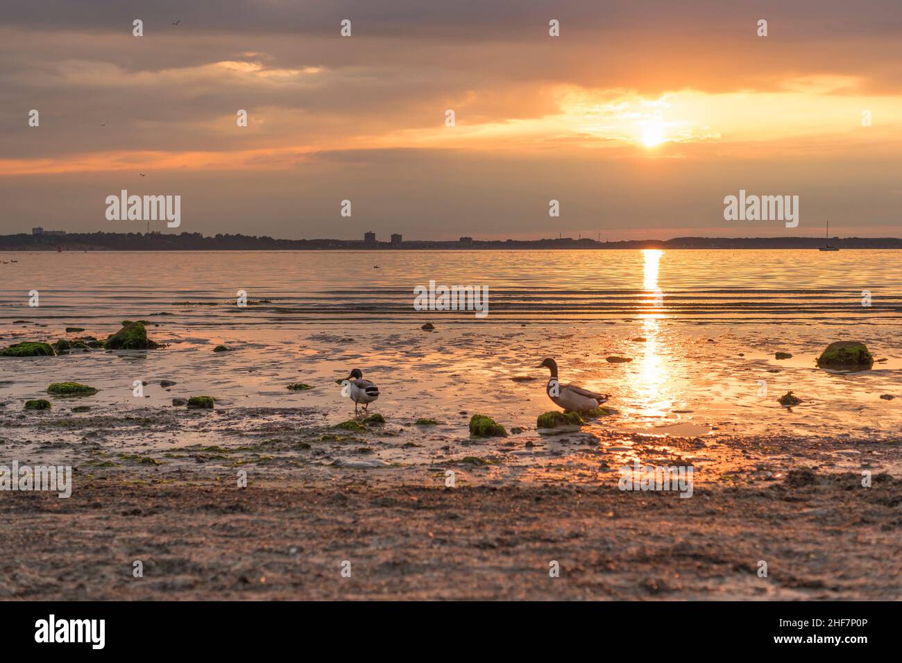 Sunset in summer on Laboe Beach Stock Photo - Alamy