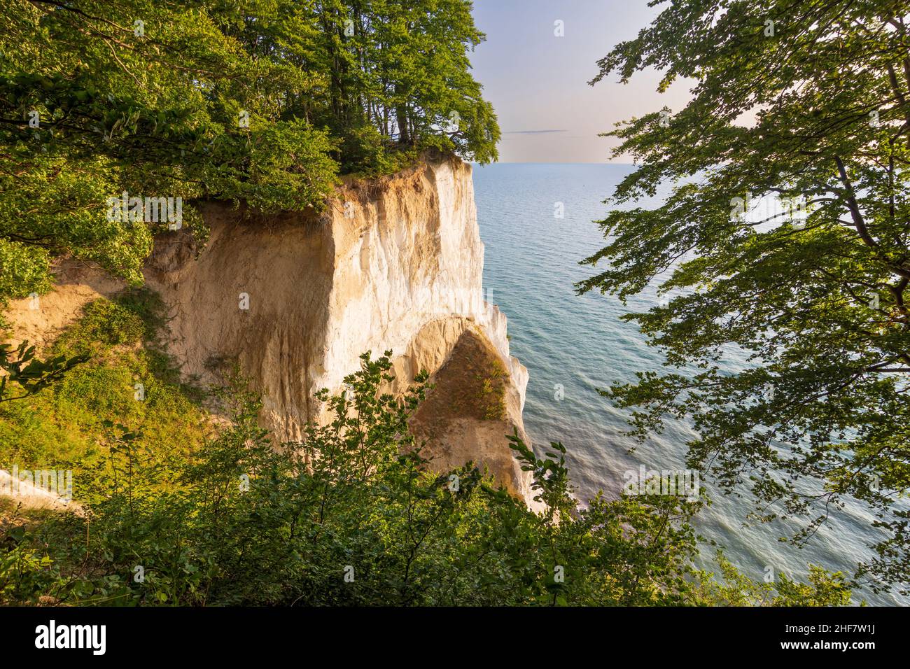 Vordingborg, Moens Klint chalk cliffs, Baltic Sea, beech trees in Moens ...