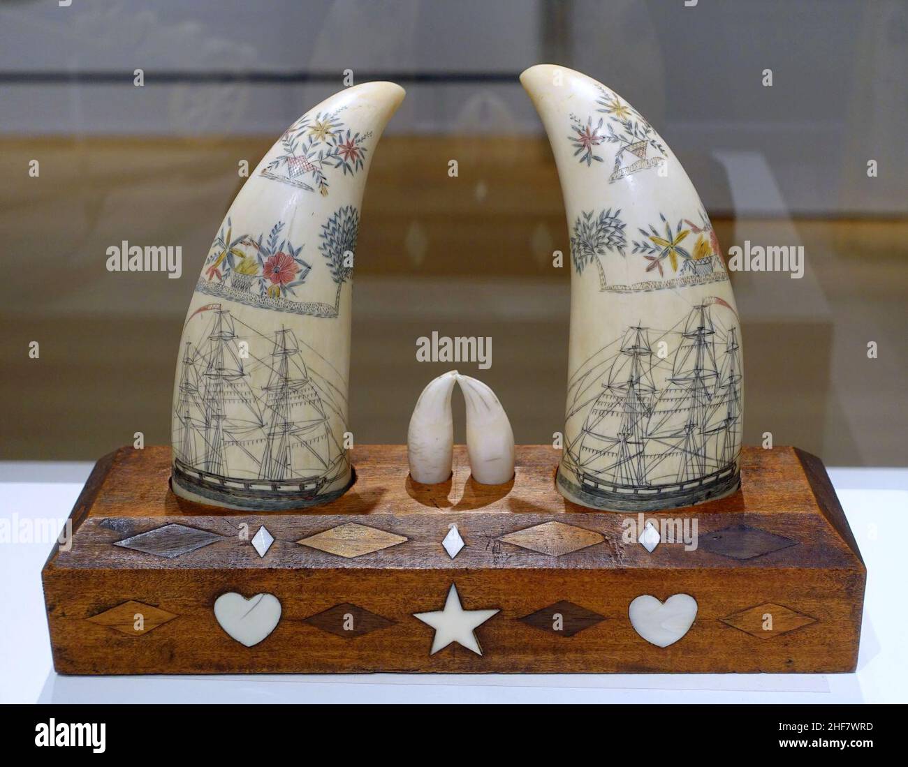 Sperm whale teeth hi-res stock photography and images - Alamy