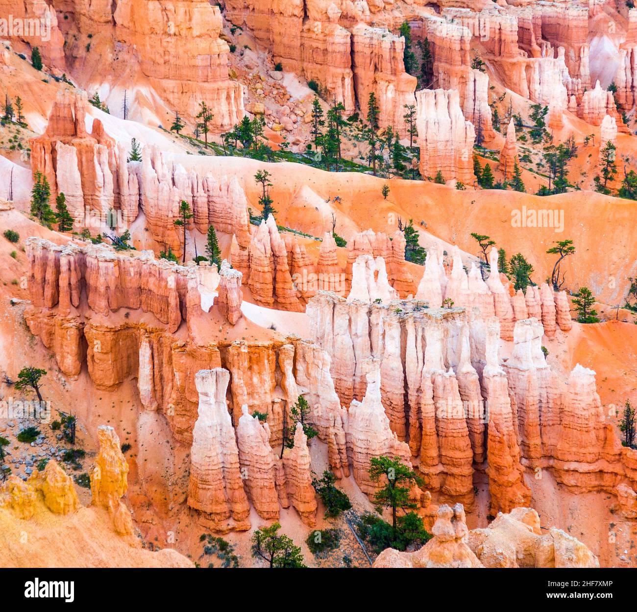 beautiful landscape in Bryce Canyon with magnificent Stone formation ...